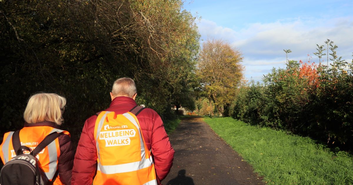 Bathscape Wellbeing Walks with Bath Mind (Thursdays)